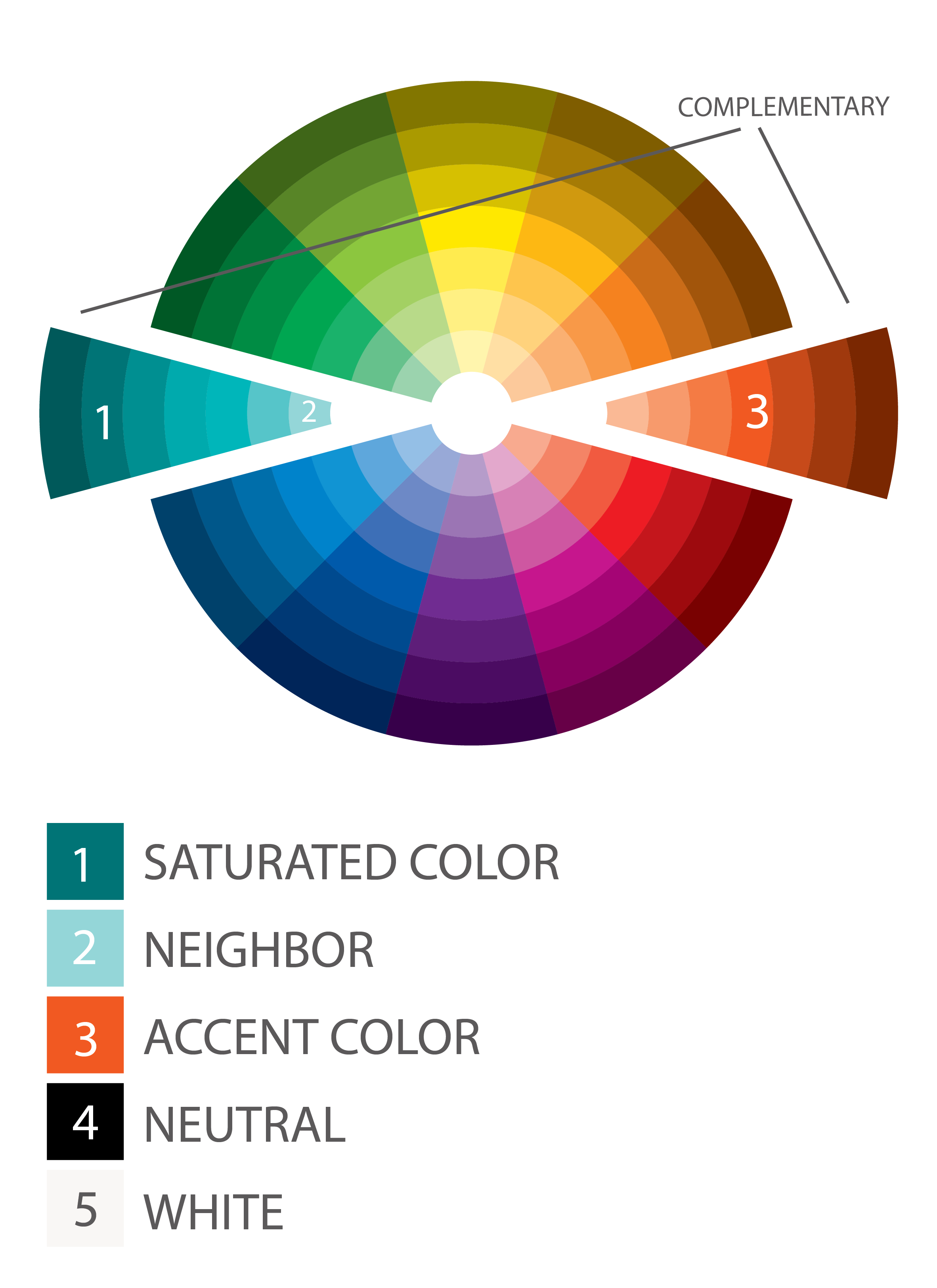 Selecting a color palette is one of the most impactful decisions you ...