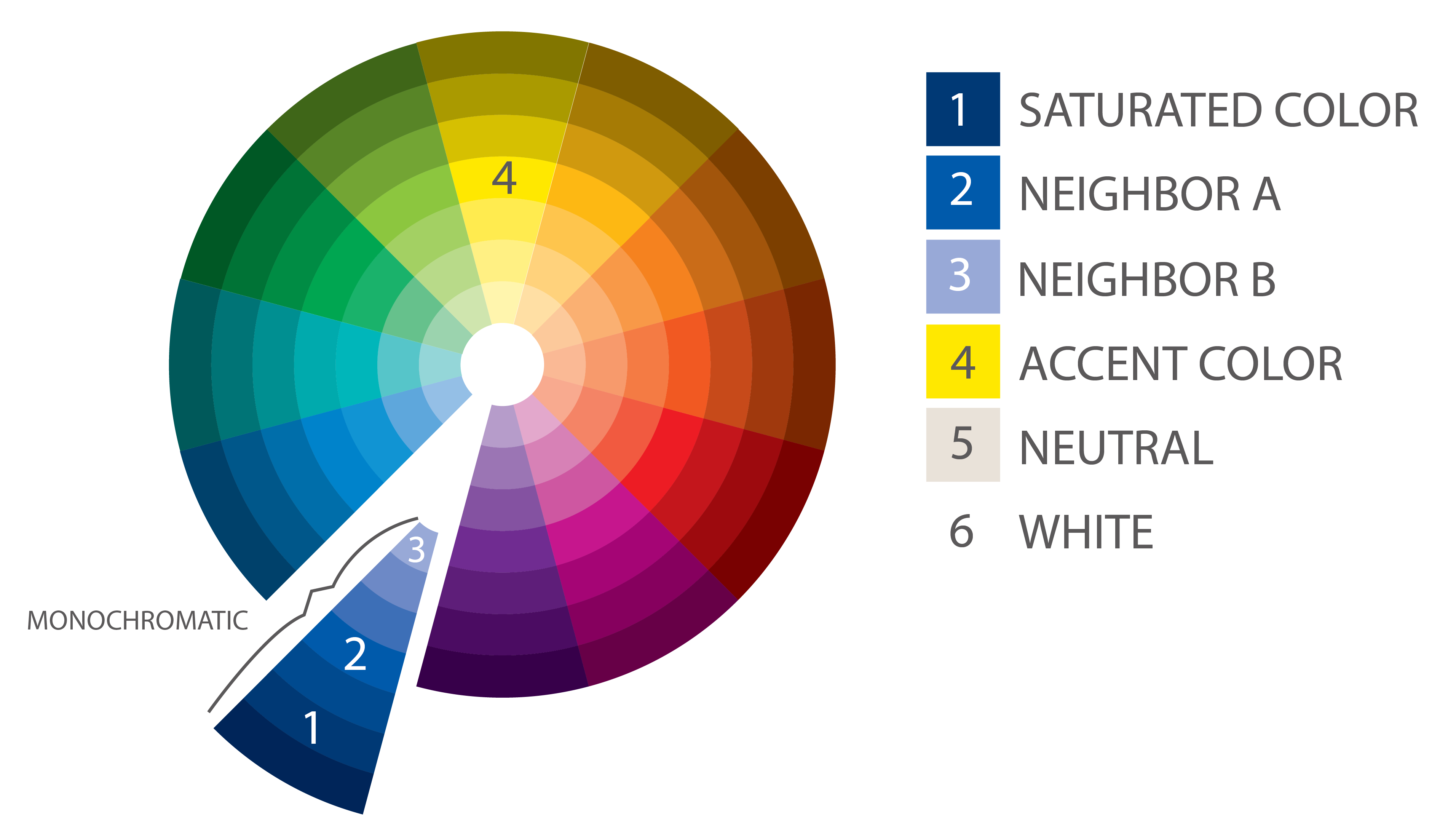 Selecting a color palette is one of the most impactful decisions you ...